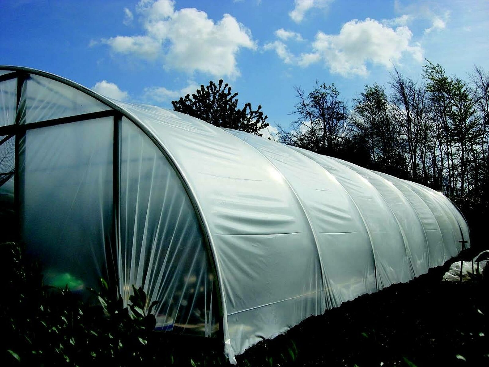 Our polytunnel polythene is UV stabilised for 5… – Soden Plastics Ltd